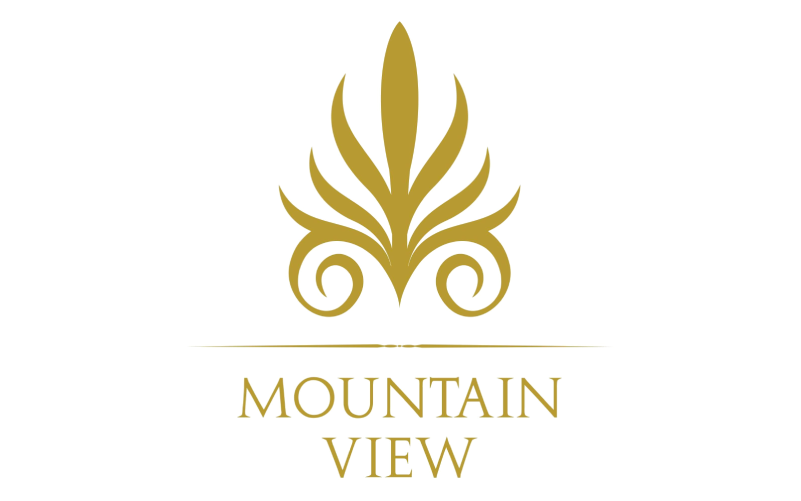 Mountain View ICity October | Prices and spaces